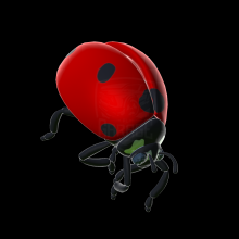 Rocket League Lucky Ladybug Trading Price Index On Switch