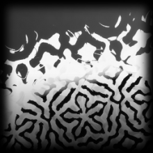 Rocket League Default Color Deep Six (Global) Trading Price Index On ...